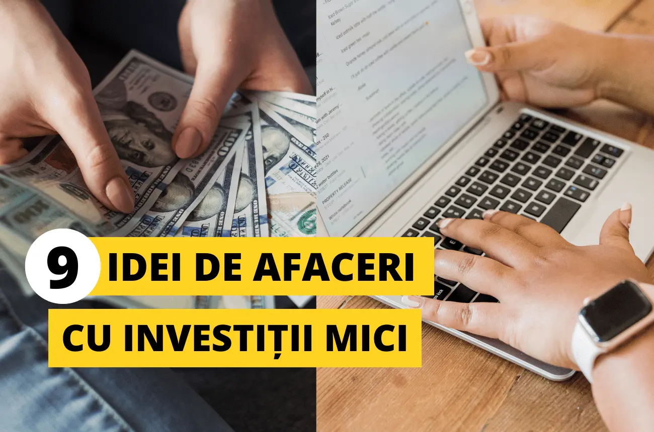 9 idei de afaceri cu investiții mici